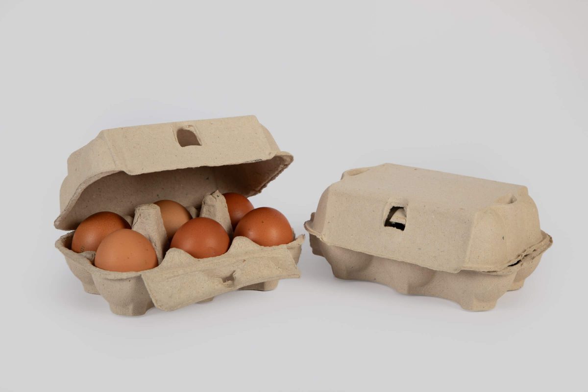Standard Pulp Egg Boxes - Knowl End Farm
